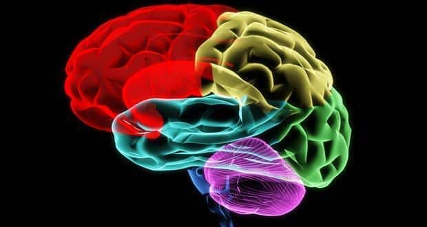Gist reasoning training to make your brain smarter! | TheHealthSite.com