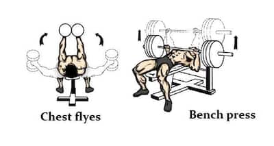 Chest dumbbell flyes VS Bench Press – which exercise is better for a ...