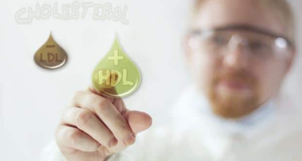 5 simple ways to increase good cholesterol (HDL) level | TheHealthSite.com