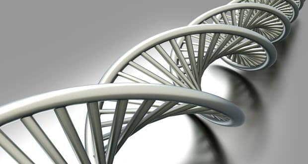 Revealed -- how DNA is 'edited' to correct genetic diseases ...