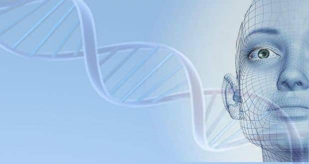 Scientists isolate genes that give you unique facial identity ...