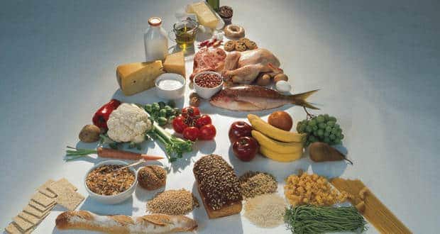 Nine small meals a day could make you slimmer! | TheHealthSite.com