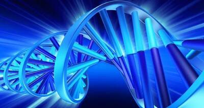 Do you have the 'nice' genes? | TheHealthSite.com