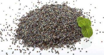 Top 8 health benefits of khus khus or poppy seeds | TheHealthSite.com