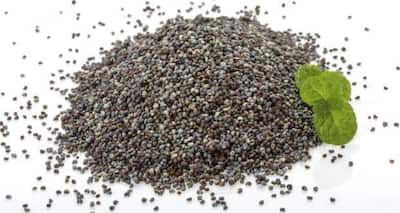 Top 8 health benefits of khus khus or poppy seeds | TheHealthSite.com