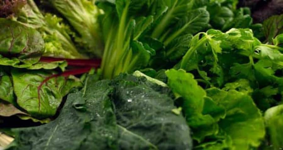 Eat leafy vegetables to relieve constipation | TheHealthSite.com