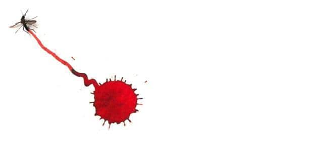 All you need to know about malaria | TheHealthSite.com