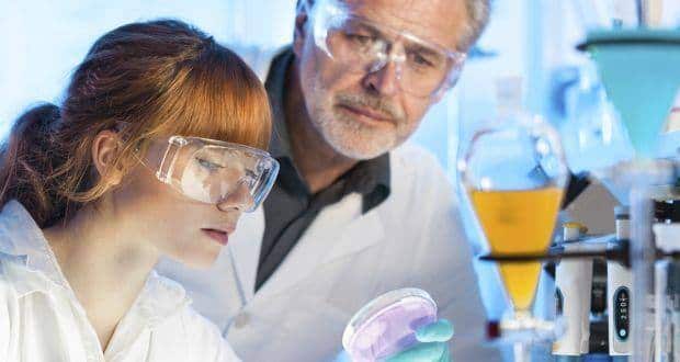 Lab grown human cartilage - a reality soon? | TheHealthSite.com