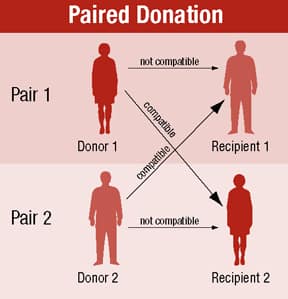 Mumbai doctors plan kidney swap between five families | TheHealthSite.com