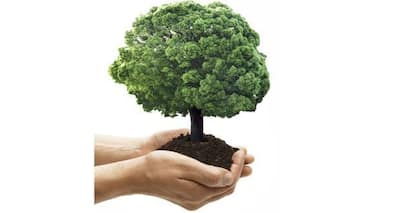 Trees saving 850 human lives a year in US | TheHealthSite.com