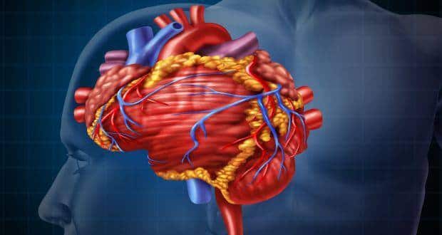 Stroke - causes, symptoms, diagnosis, treatment and prevention ...