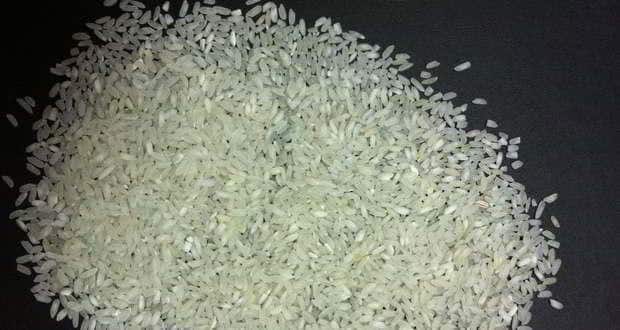 Could Indian 'Swarna' rice variety hold the key to beating diabetes ...