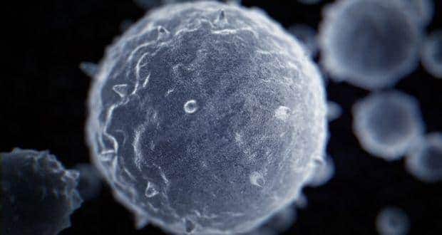 Hiding place of deadly virus in body spotted | TheHealthSite.com