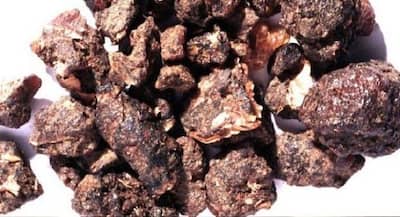 Commiphora Wightii: Health benefits, Uses And Side Effects Of Guggul ...