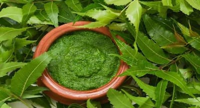 Neem paste for skin care in Hindi: नीम पेस्ट से त्वचा को होने वाले 3 ...