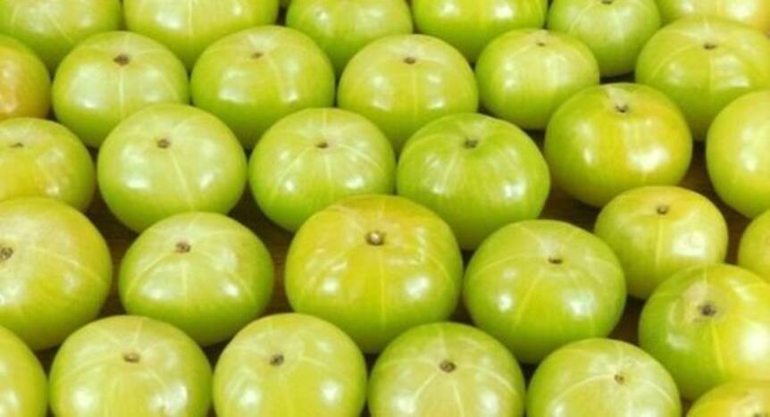 3 Benefits Of Amla And Honey For Children | TheHealthSite.com