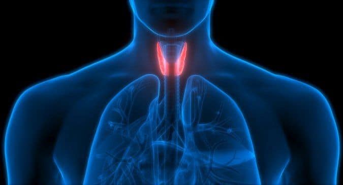 hypothyroidism: Know how to deal with it %%page%% %%sep%% TheHealthSite ...