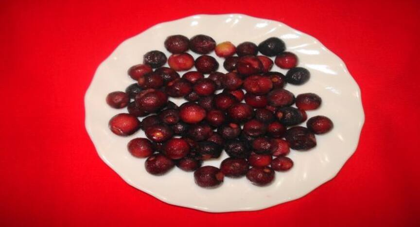 Falsa Fruit Benefits For Skin: 5 Benefits Of Eating Indian Sherbet ...