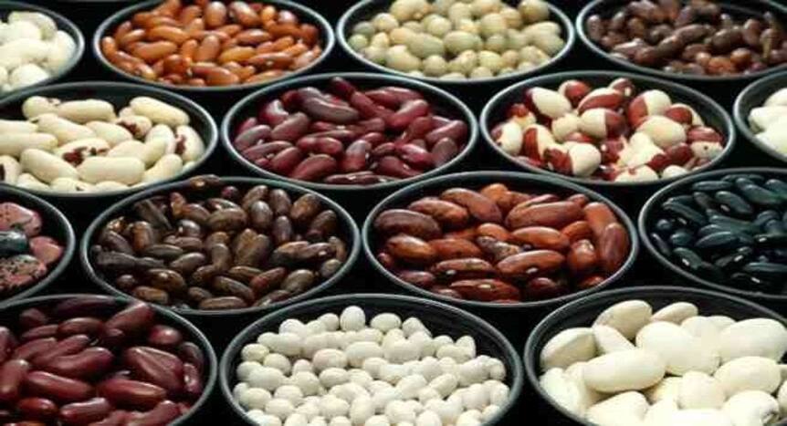 6 foods which can help you combat constipation | TheHealthSite.com ...