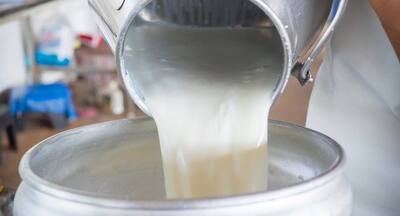 National Nutrition Week 2020: Drinking too much milk can harm your body ...