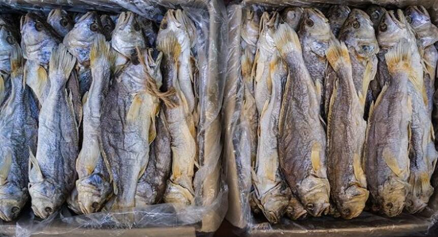 stomach cancer: Avoid these foods to bring down your risk ...