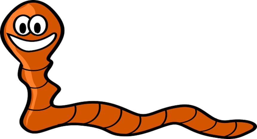 Pinworms: Easy home remedies to treat this intestinal infection ...