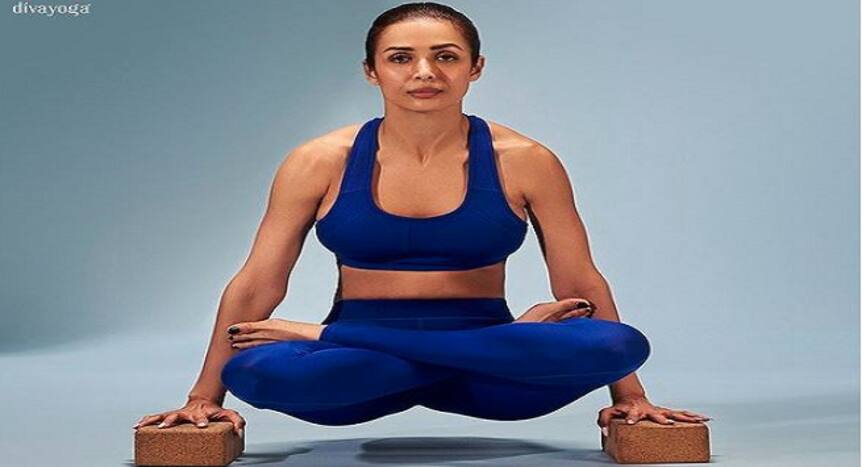 Tulasana or Chakrasana, Malaika Arora can nail it like a pro ...