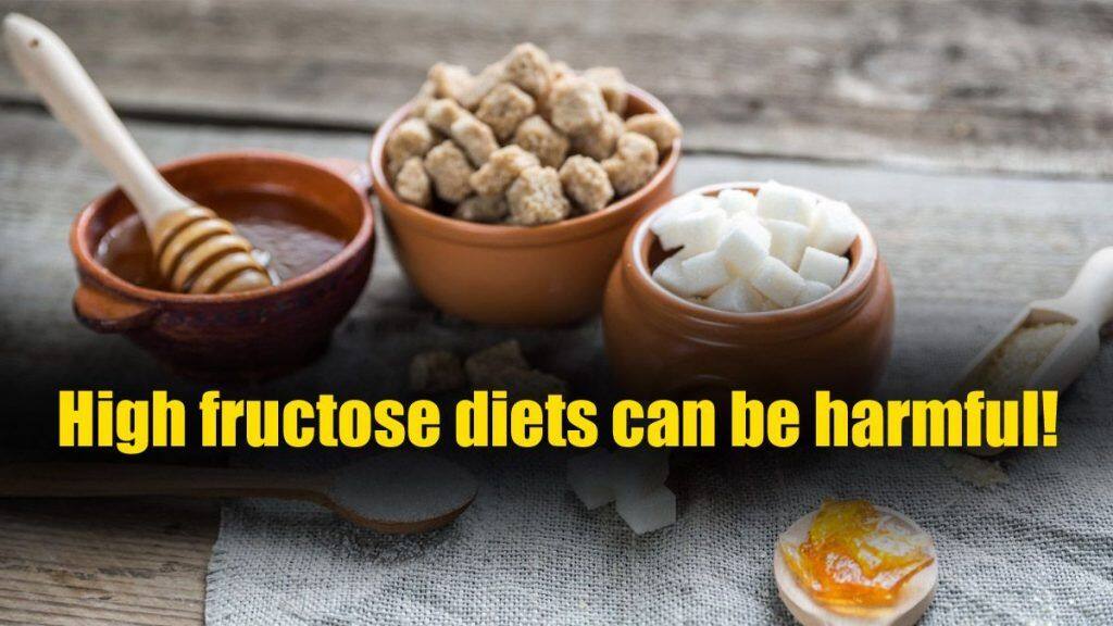 Fructose-rich diet may damage your immune system; foods to AVOID!