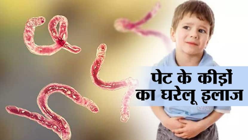 Worms in Kids Stomach : बच्‍चों के पेट में कीड़ों को तुरंत मारेंगे ये 3 ...