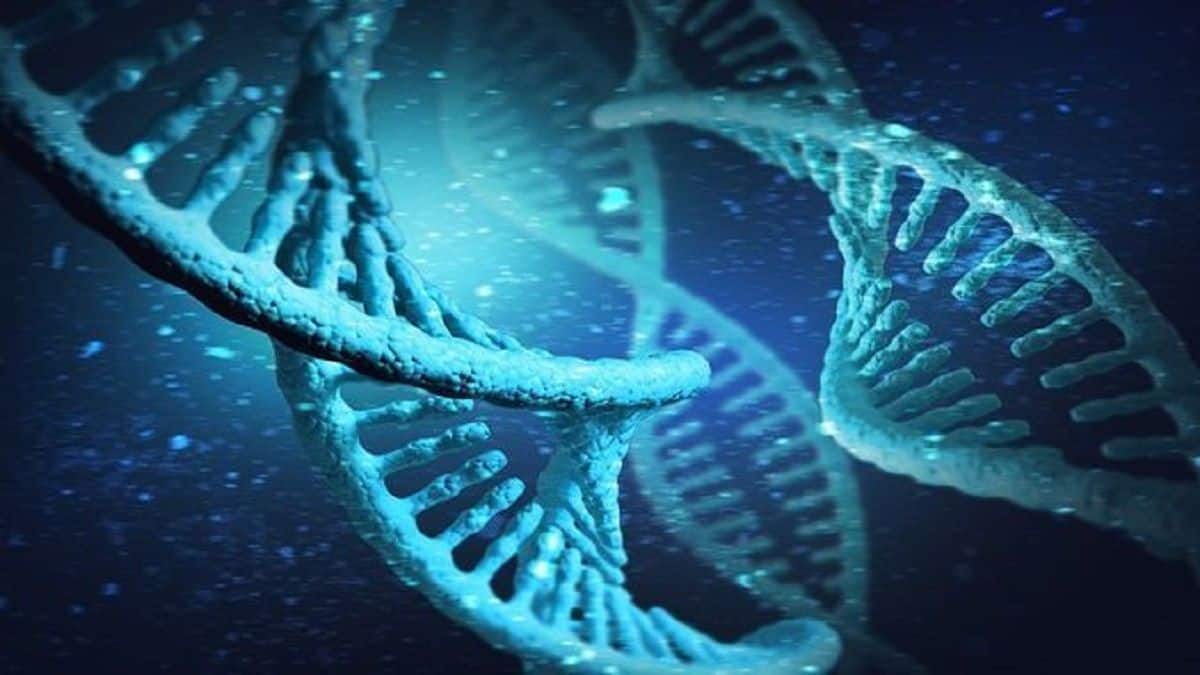 World DNA Day 2021: Predicting the genetic risk of diseases ...