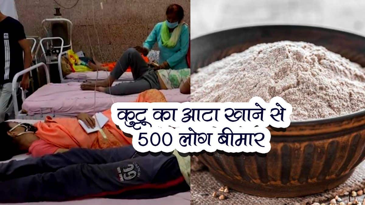 Kuttu ka Atta: ऐसे करें असली कुट्टू के आटे की पहचान | TheHealthSite.com ...