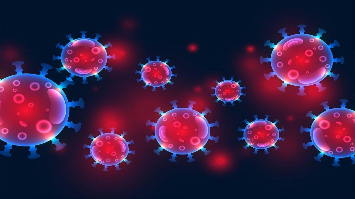 Zero Deaths Reported In Patients Reinfected With Covid After ...