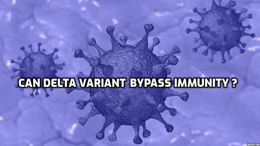 Delta Variant Can Trigger Infections By Evading Immunity: Study ...