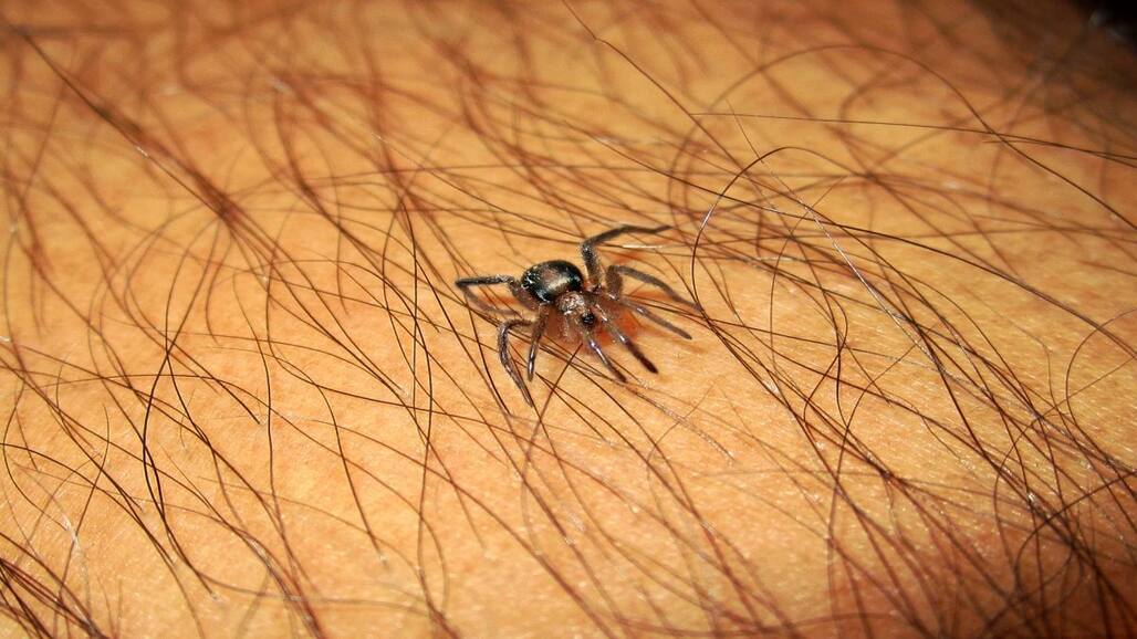Venomous Stings? Here Are 7 Treatments For Toxic Bites | TheHealthSite ...