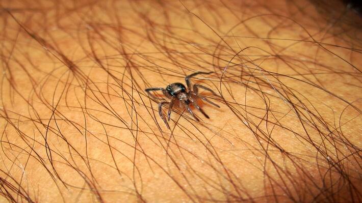Venomous Stings? Here Are 7 Treatments For Toxic Bites | TheHealthSite.com