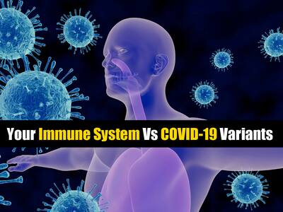 Can Your Immune System Protect You From Coronavirus Strains ...