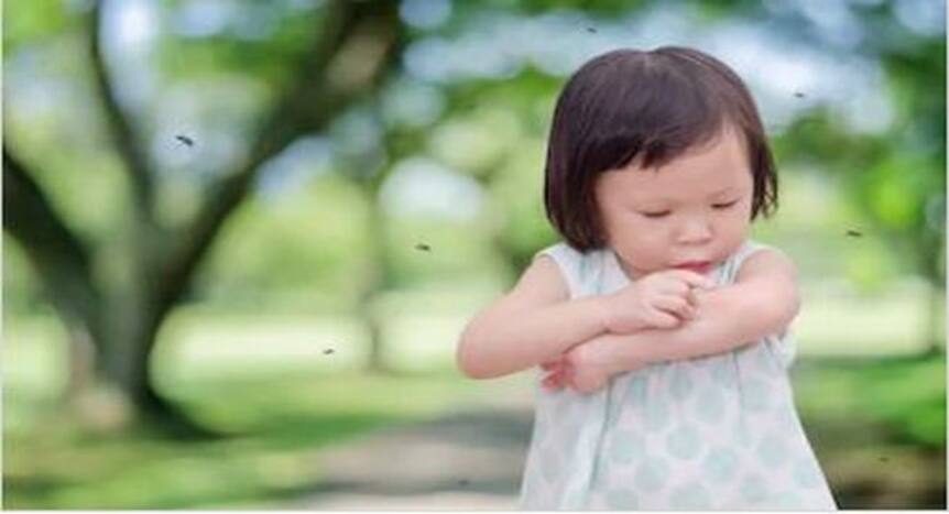 Venomous Stings? Here Are 7 Treatments For Toxic Bites | TheHealthSite.com