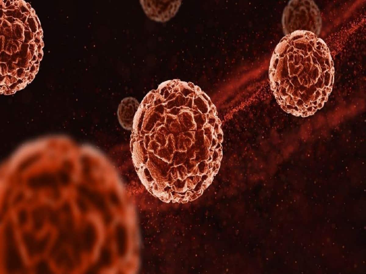 Decoding Cancer: Grades, Stages And More | TheHealthSite.com