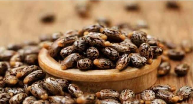 Castor Seeds: Health Benefits, Uses, Side Effects Of Arandi Ke Beej ...