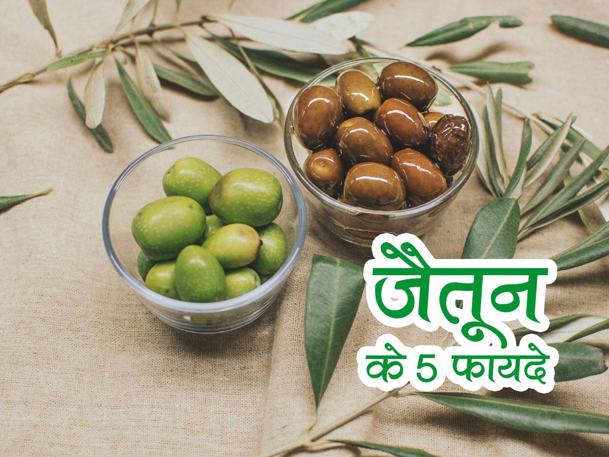 Benefits Of Olives In Hindi Benefits Of Olives In Hindi