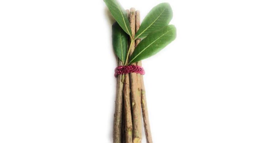 Health benefits of Datun in hindi : इन 5 पेड़ों का दातुन आपके दांतों को ...