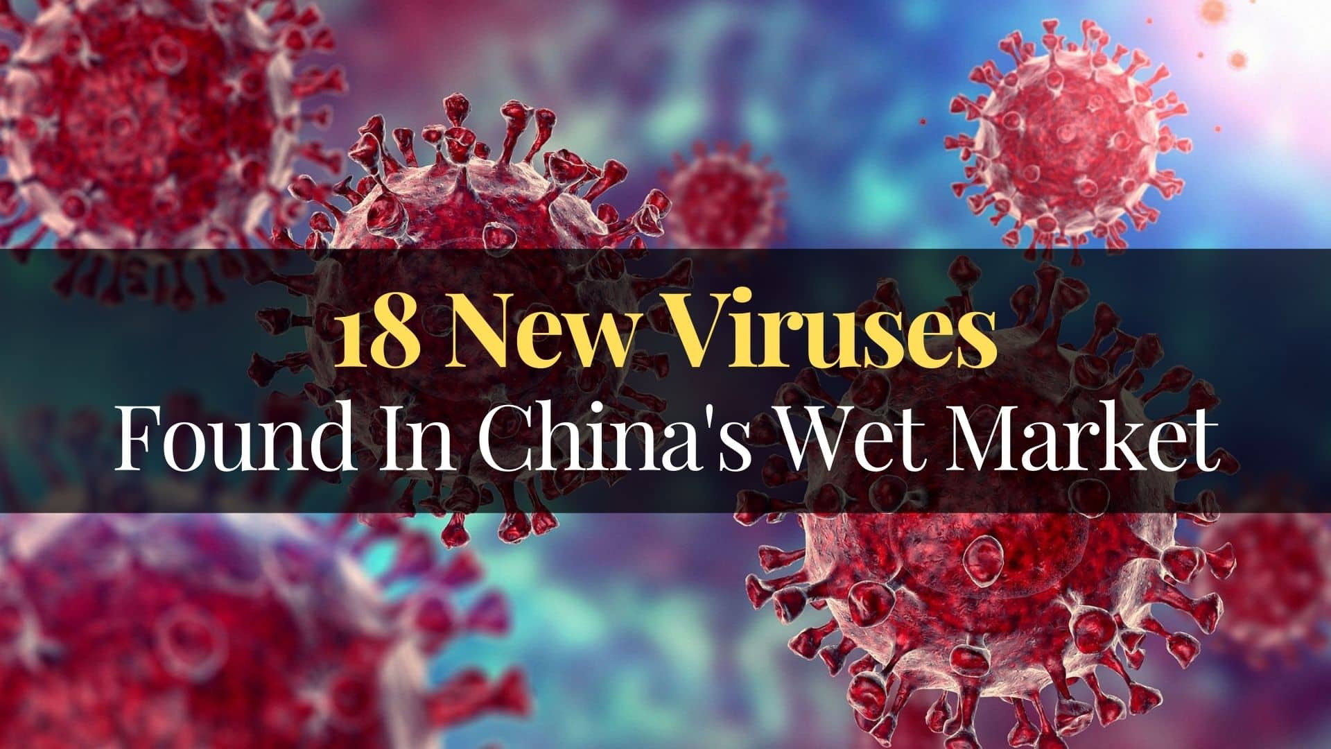 18 New Viruses Potentially High Risk To Humans Found In China's Wet ...