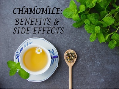 Chamomile: Health Benefits, Uses, Side Effects and More | TheHealthSite.com