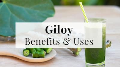 Giloy: Health Benefits, Uses, Side Effects and More | TheHealthSite.com