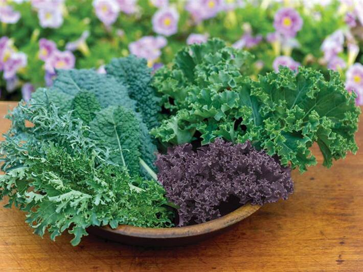 High Blood Pressure Diet: 7 Vegetables You Should Eat Every Day To ...