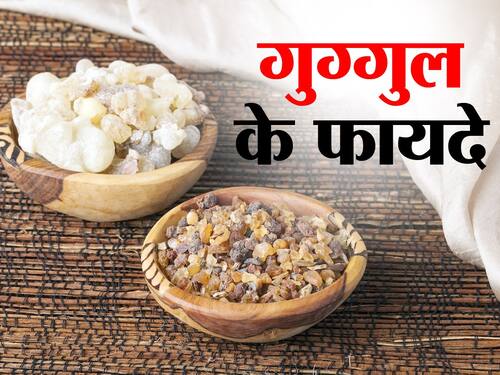 Guggul Benefits and Uses- गुग्गुल के फायदे, औषधीय गुण, लाभ और नुकसान ...