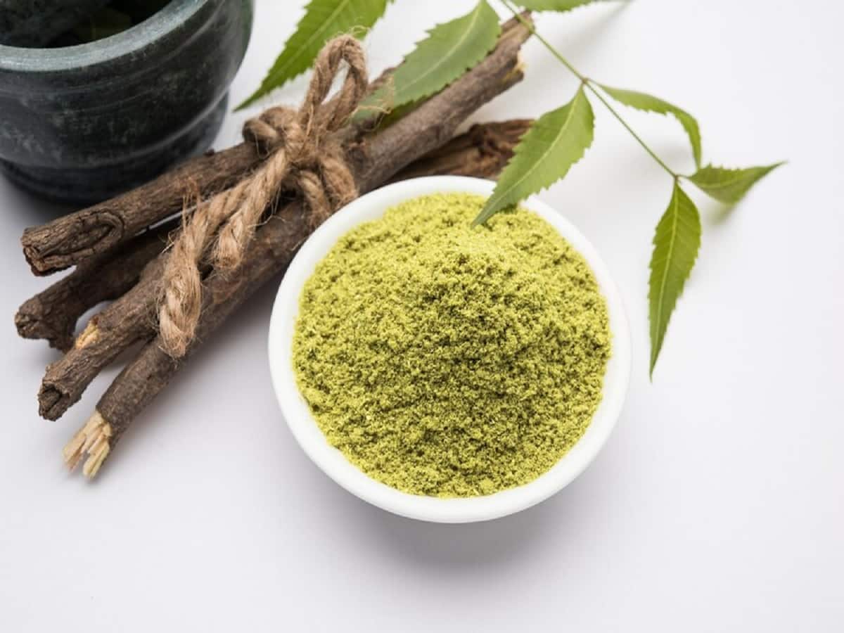 Neem-Based Drugs May Help Fight COVID-19, Emerging Variants: Study ...