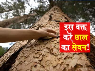 Right way to use arjun ki chaal in hindi: दिन में कब करना चाहिए अर्जुन ...