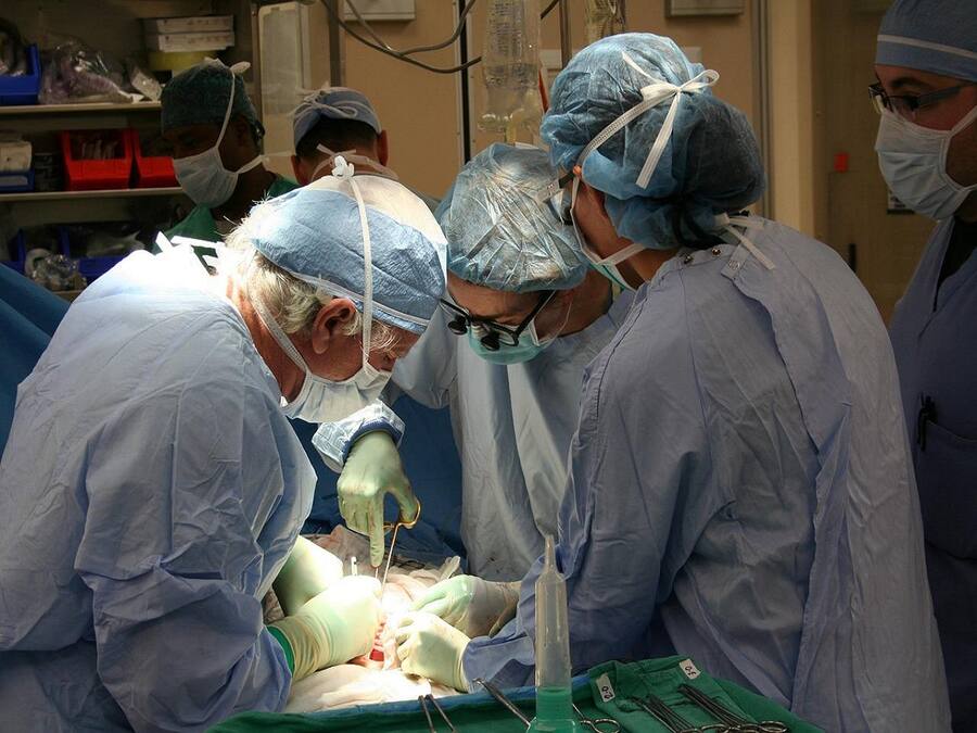 Deep Brain Surgery: The Procedure That Blocks Or Regulates Abnormal ...