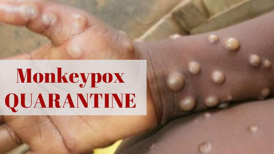 Belgium Becomes First Country To Introduce Monkeypox Quarantine As ...